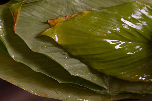 Patoleo recipe or Patoli recipe, How to make Goan Patoleo Recipe